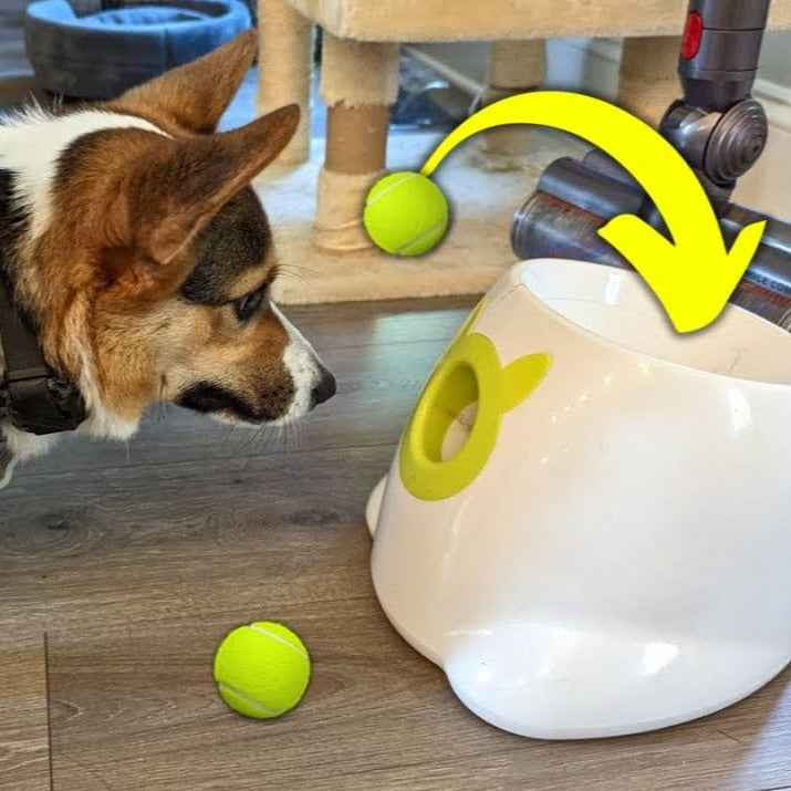 Automatic Dog Ball Launcher - Interactive Toy for Small & Medium Dogs ...